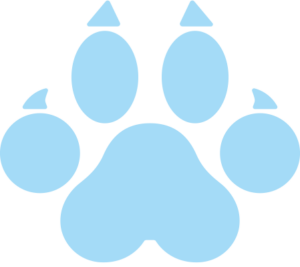 PAWS – Power Assisted Wheelchair System